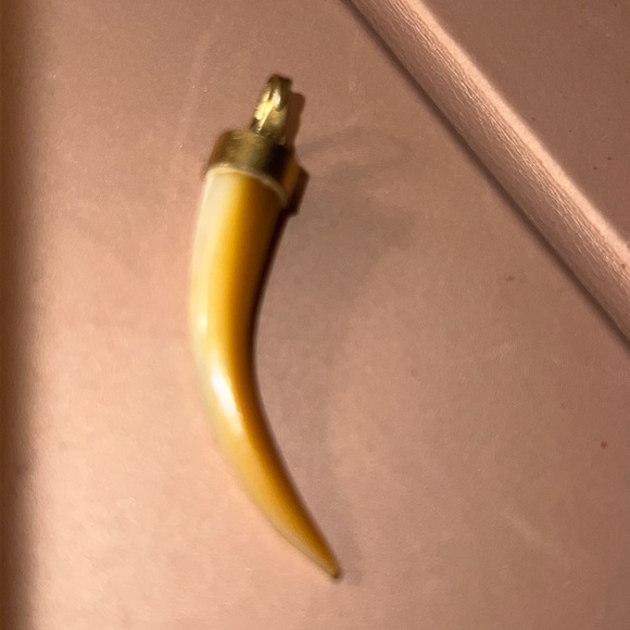 Antique | Jewelry | Antique Hand Carved Mother Of Pearl Tigers Tooth ...